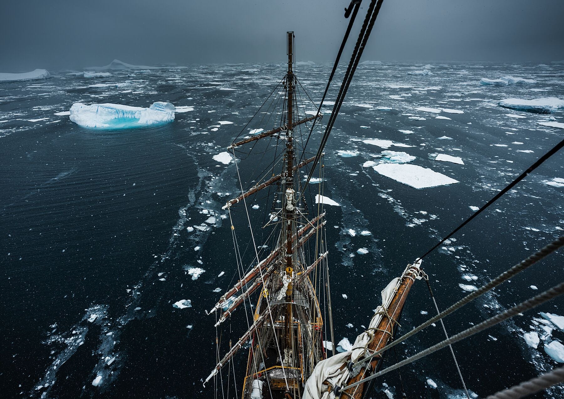 Antarctic World – Benjamin Hardman Studio
