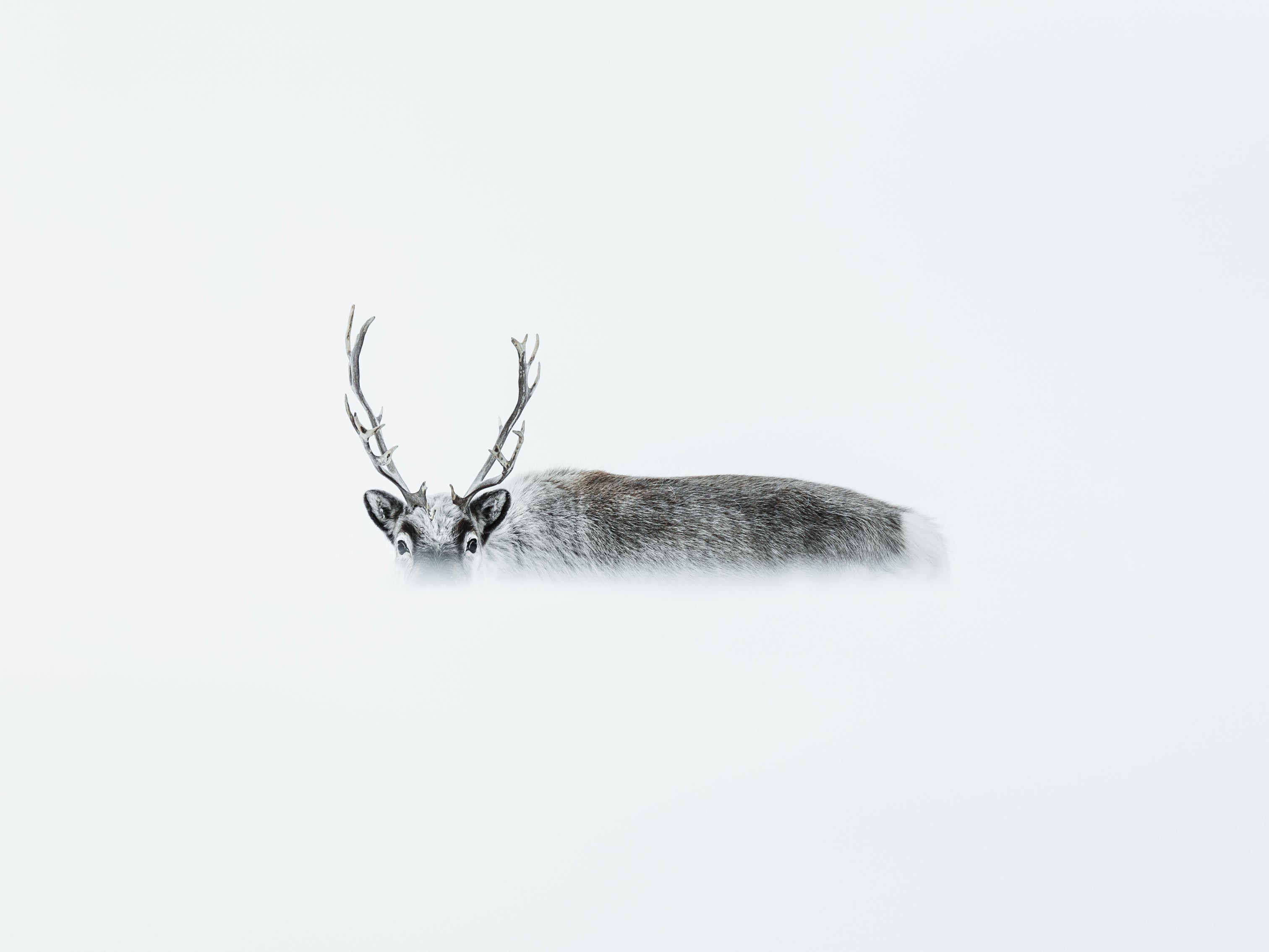 Benjamin Hardman – Benjamin Hardman Studio